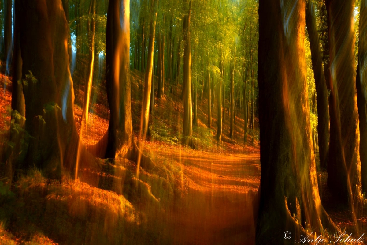 Antje Schulz - Impressionistische Fotografie - Offizielle Webseite ...